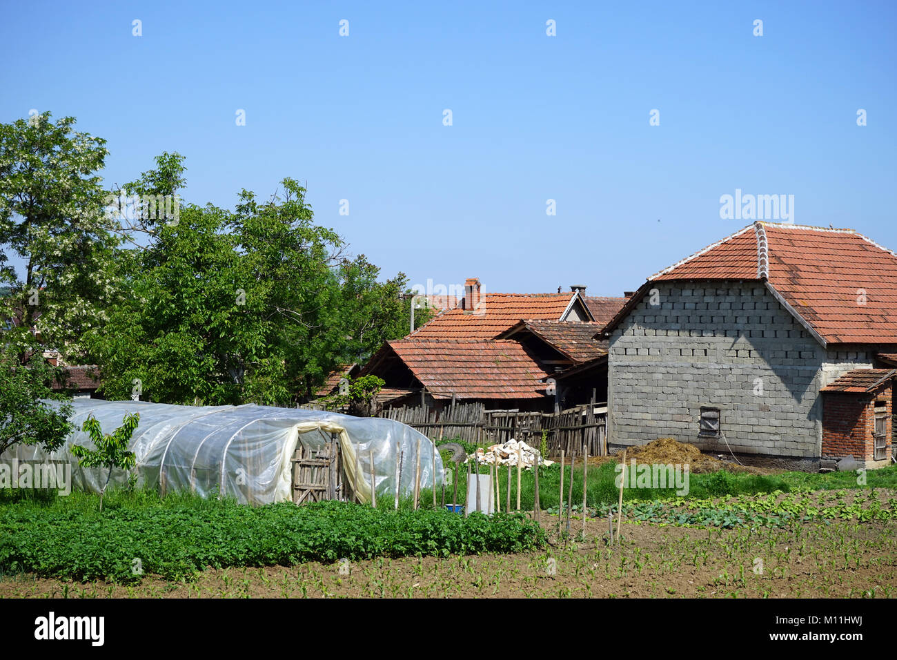 Farm house and shed in Serbia Stock Photo - Alamy