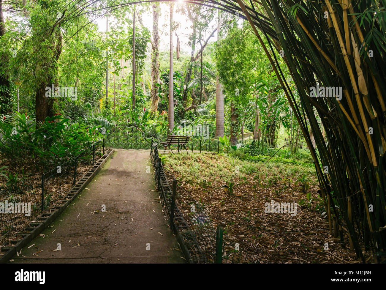 Accessibility background hi-res stock photography and images - Alamy