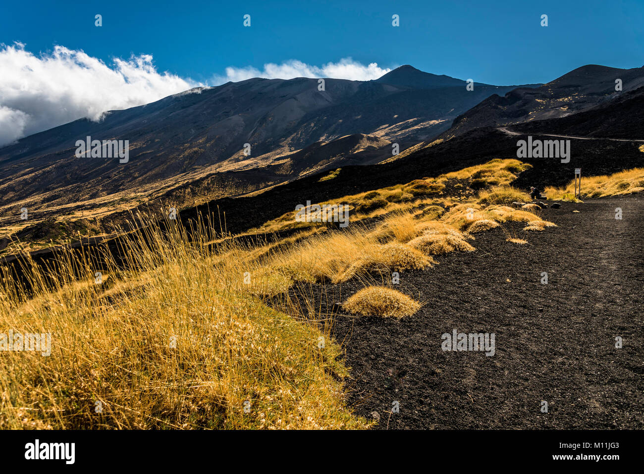 Etna volcano, Sicily Stock Photo - Alamy