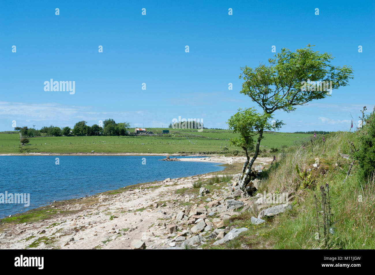 Coliford Lake High Resolution Stock Photography and Images - Alamy