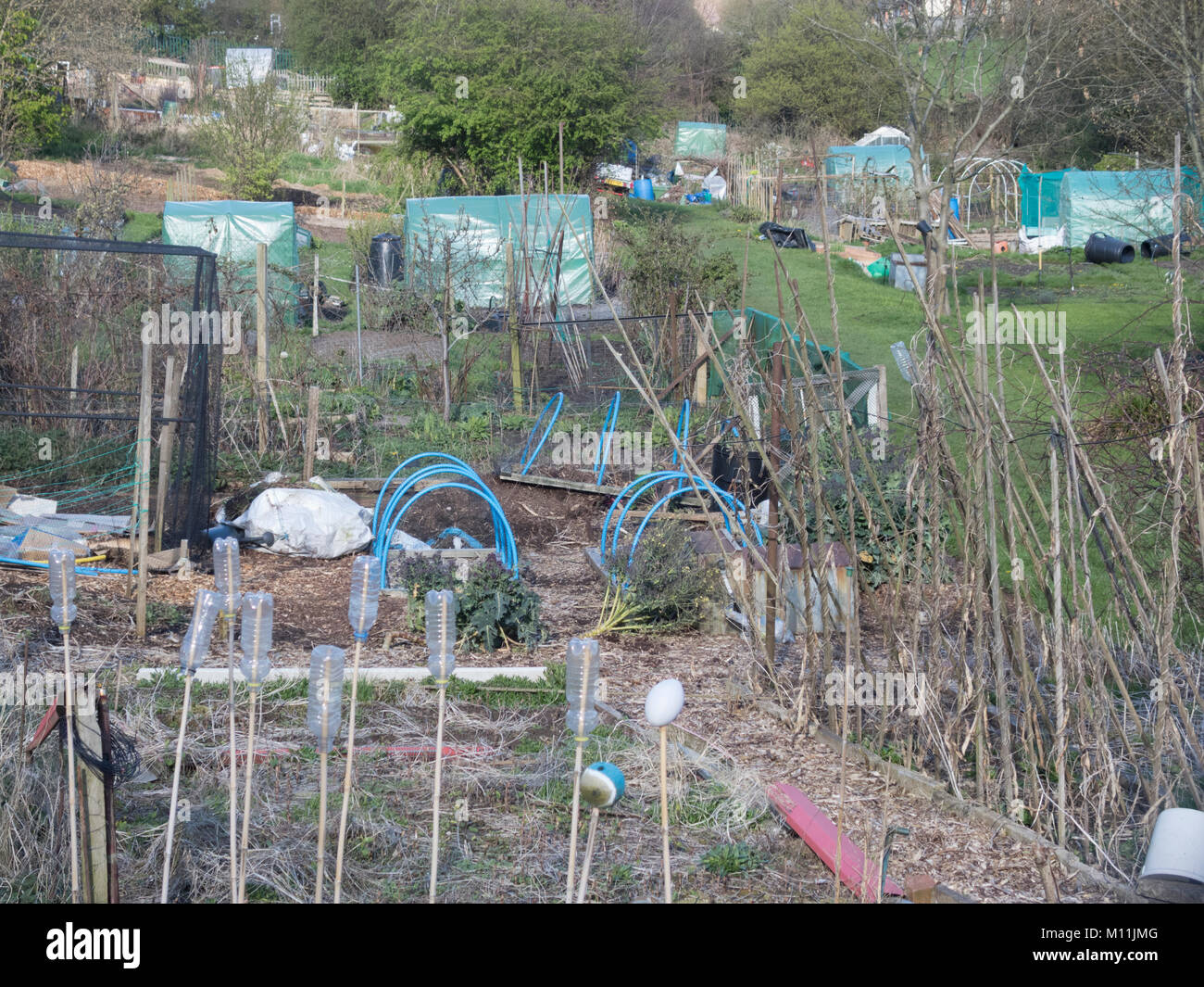 Vegetable plot plots hi-res stock photography and images - Alamy