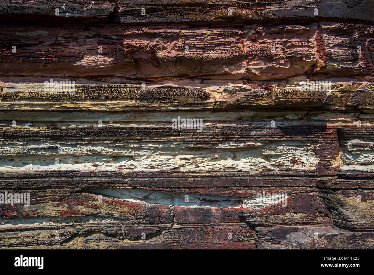 Close up of Devonian Old Red Sandstone in sea cliff at Duncansby Head ...