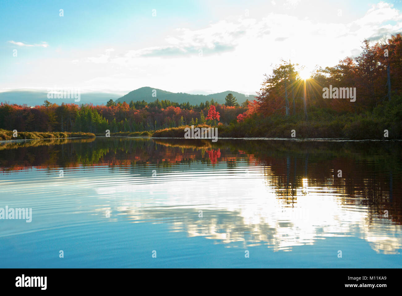 Sun rays illuminate peak foliage on Adirondacks stream • Fall Stream ...