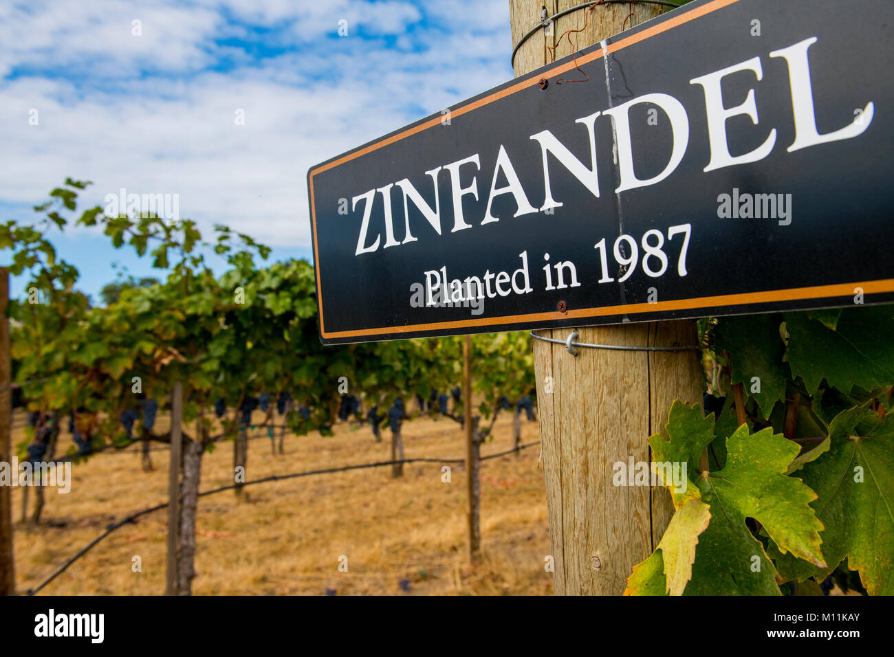 Applegate Valley wine country near Ashland, Oregon Stock Photo - Alamy