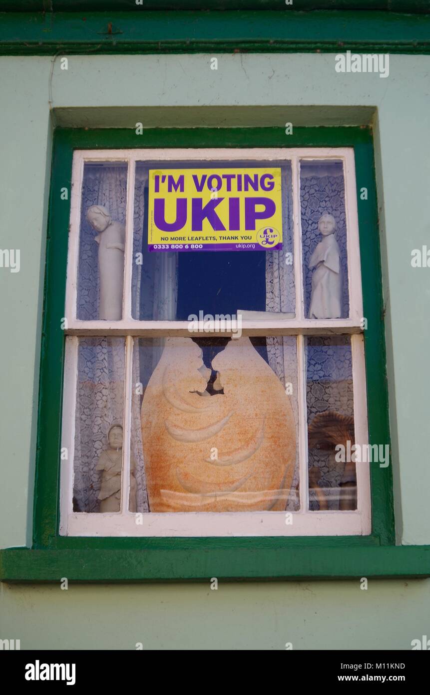 UKIP Political Window poster, Fishing Cottage, Appledore, North Devon ...