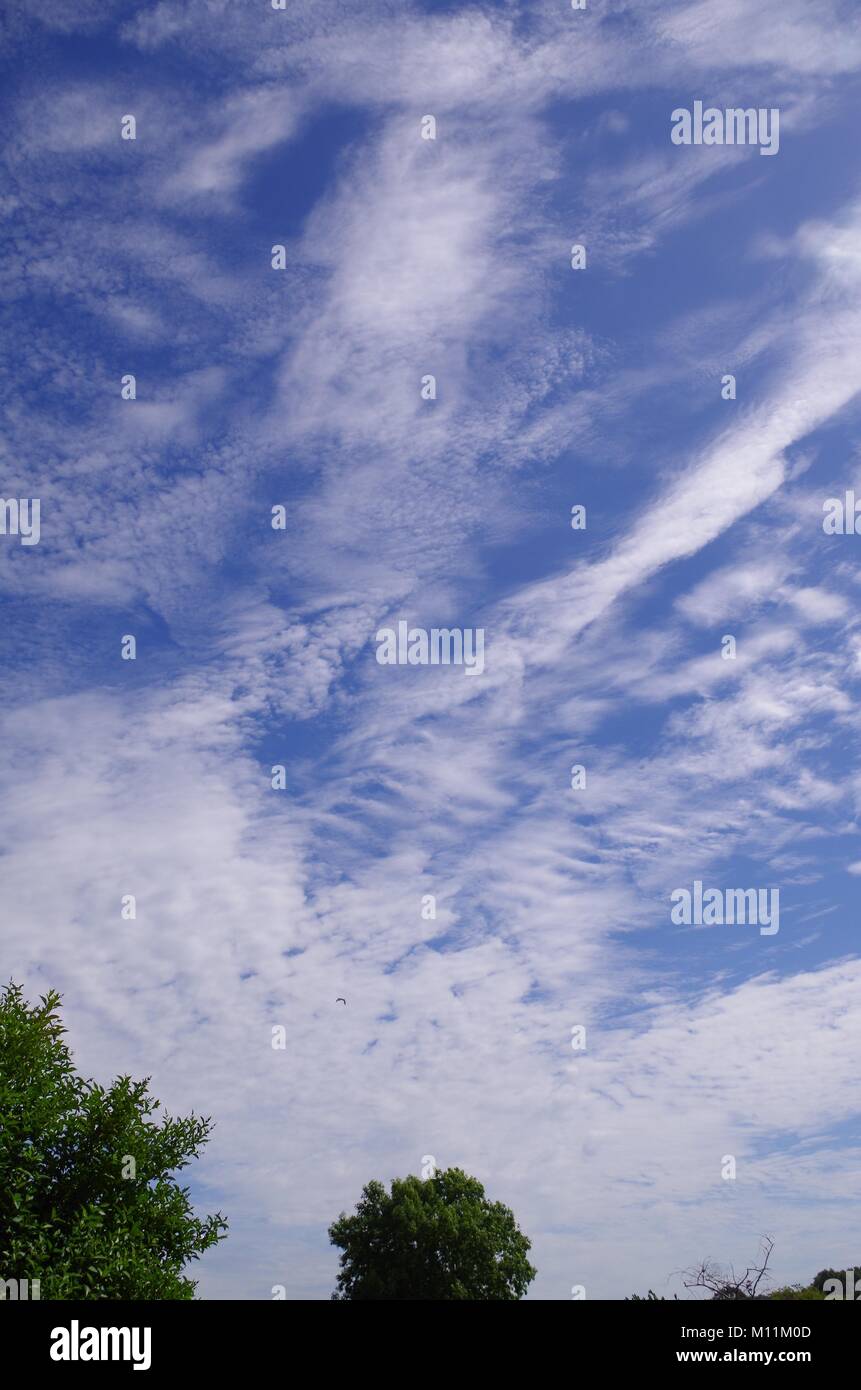 Fair Weather, Summer, Alto Cumulus Clouds, Sky Background. Settled ...