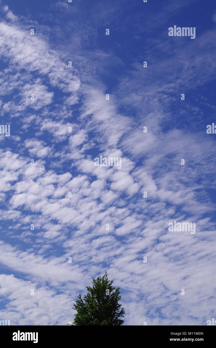 Fair Weather, Summer, Alto Cumulus Clouds, Sky Background. Settled British Weather. Exeter ...