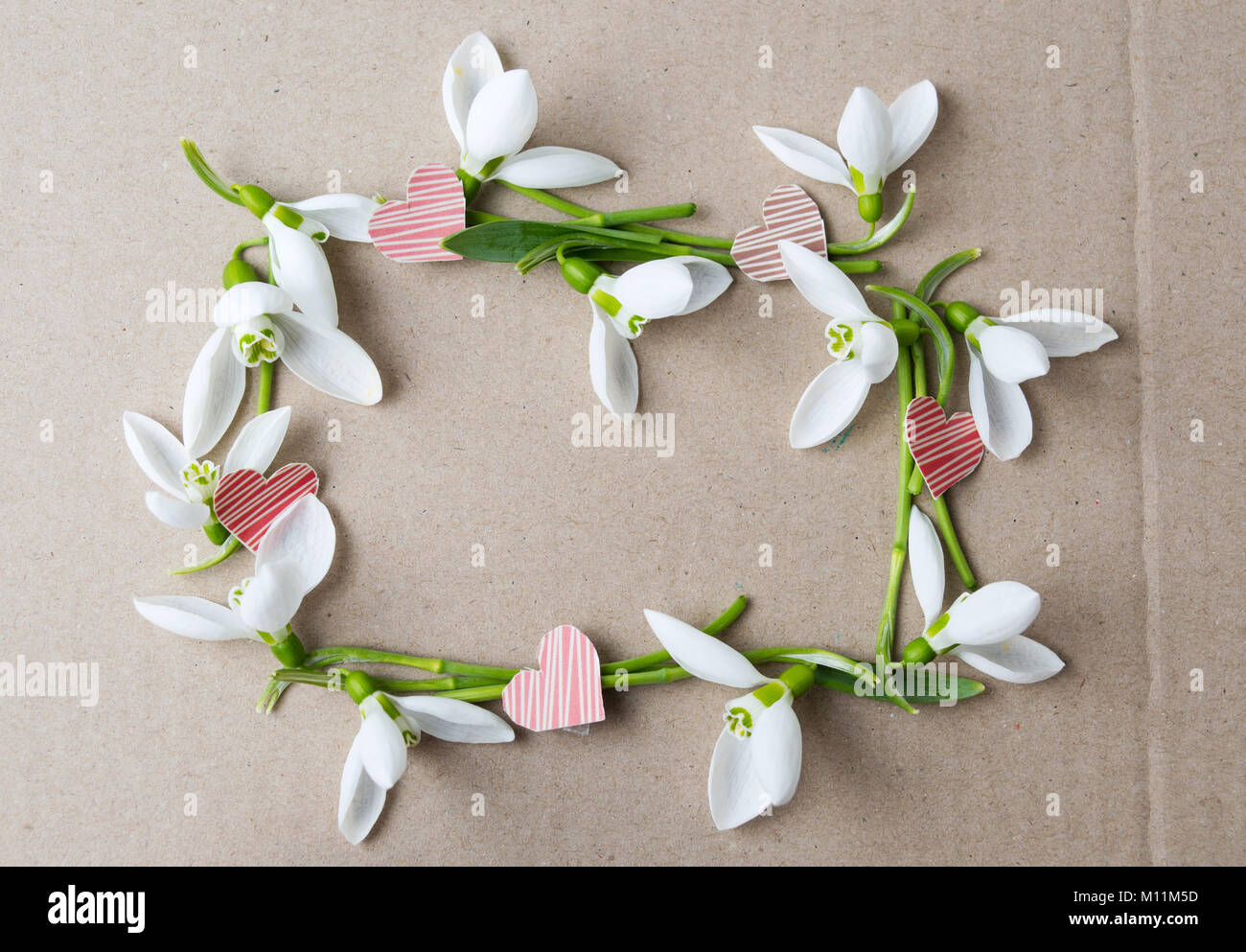 snowdrops forming a recycling circle on paper background Stock Photo ...