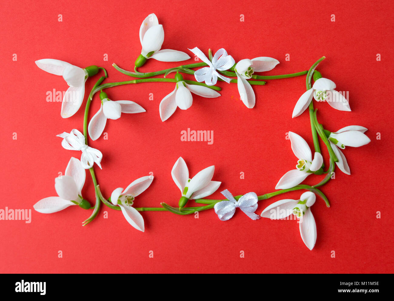 snowdrops forming a recycling circle on paper background Stock Photo ...
