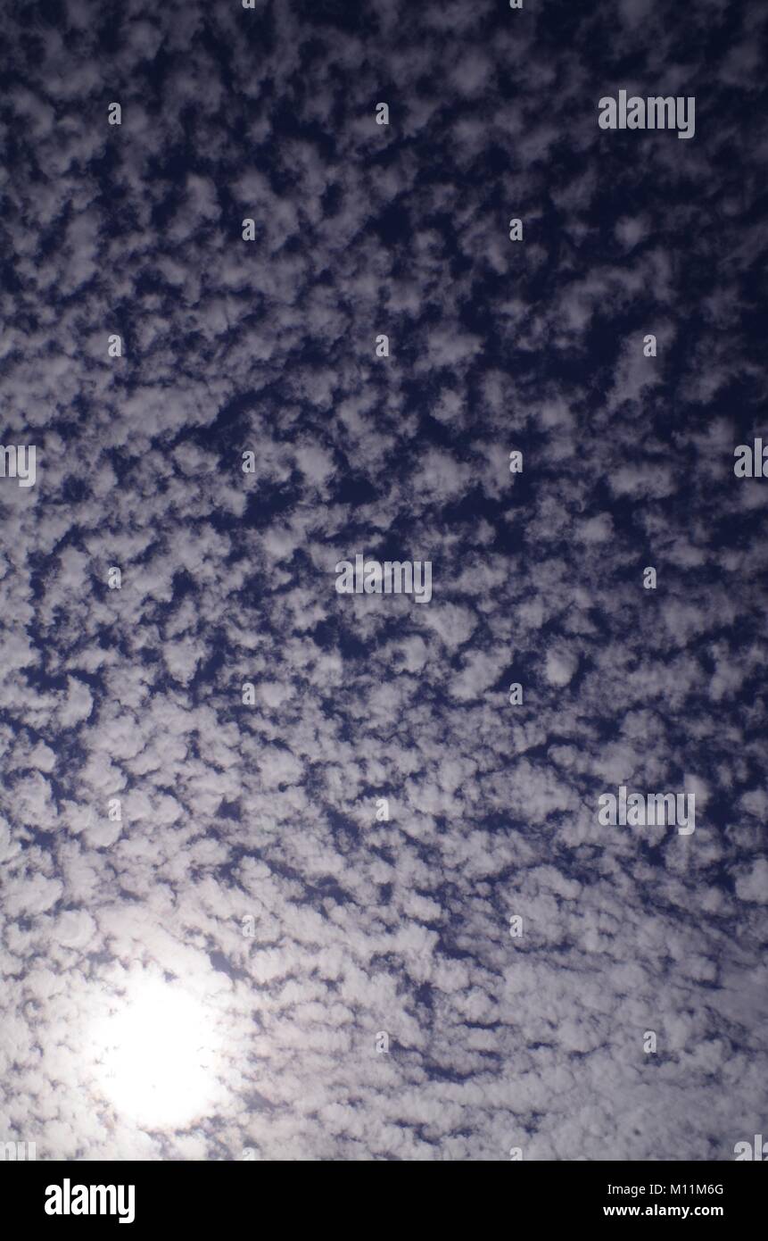 Mackeral Sky, Altocumulus Clouds, Abstract Weather Background, Devon, UK. Summer, 2017 Stock ...