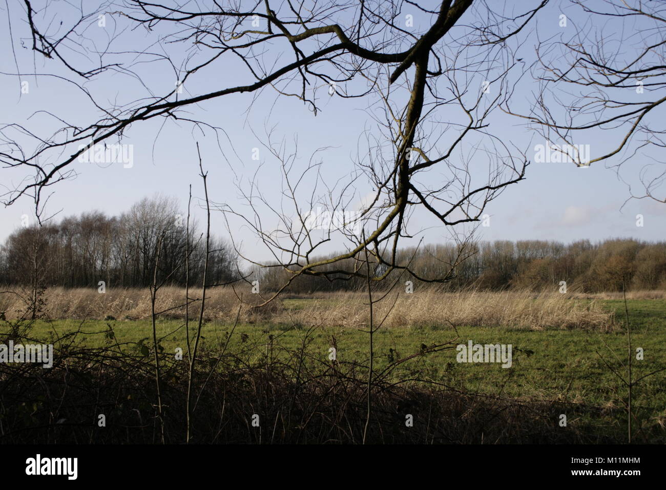 Millgate Fields, Mersey Valley, East Didsbury, Manchester, M20 5QT, UK ...