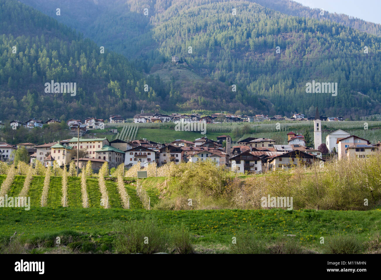 Caldes trentino hi-res stock photography and images - Alamy
