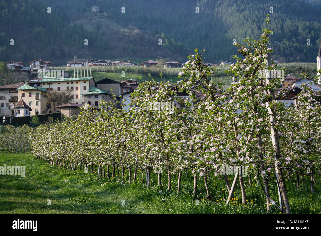 Caldes italy hi-res stock photography and images - Alamy