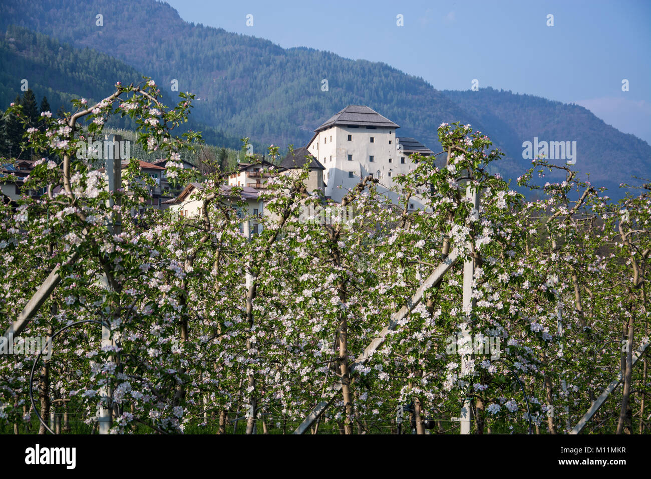 Caldes italy hi-res stock photography and images - Alamy