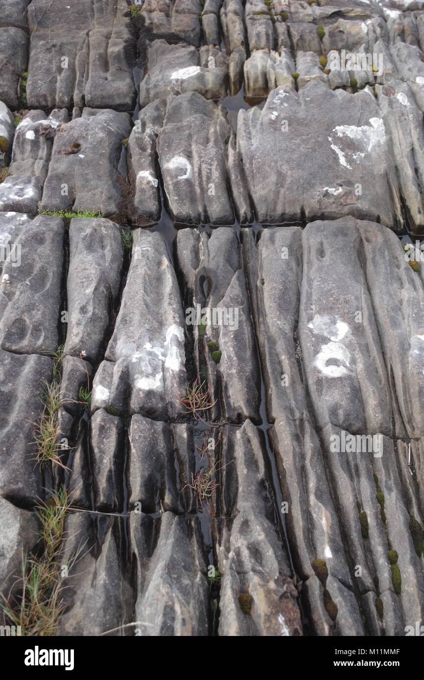 Jointed Limestone Wave Cut Platform, Elgol Beach, Isle of Skye ...