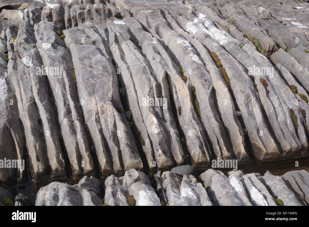 Jointed Limestone Wave Cut Platform, Elgol Beach, Isle of Skye ...
