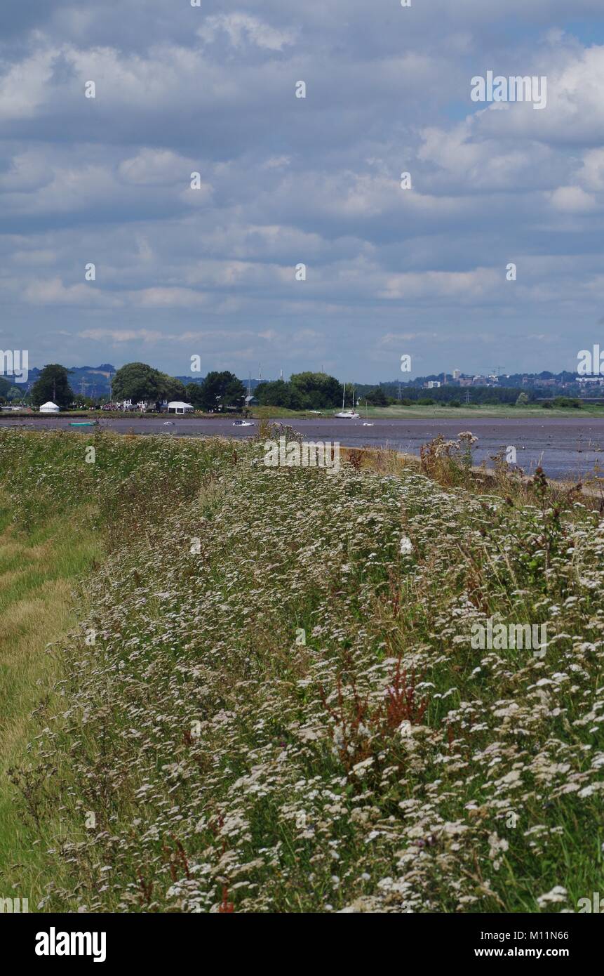 Exe Estuary Cycle Trail Embankment, Looking North towards Turf Lock ...