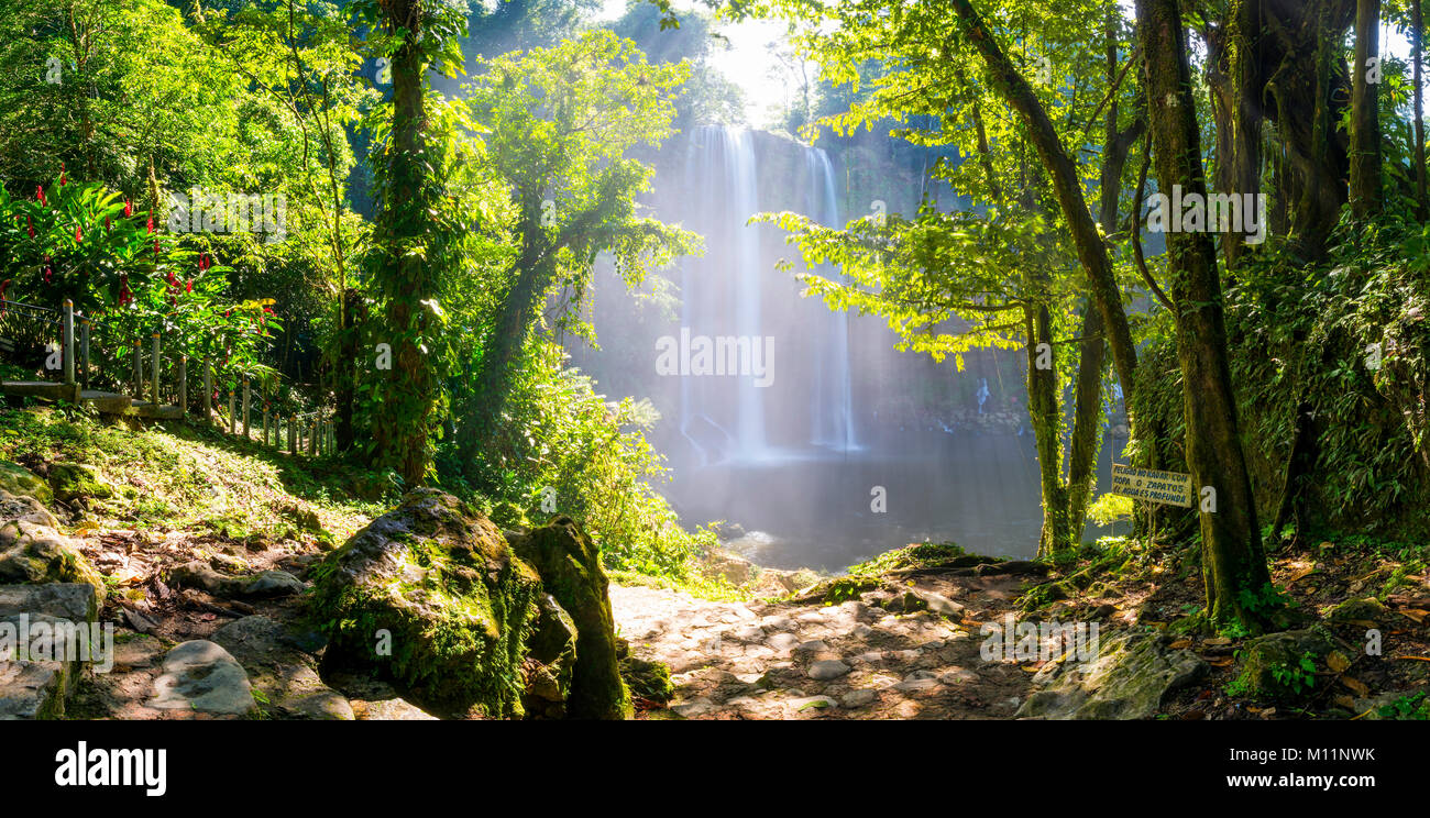 Panorama of Misol Ha waterfall near Palenque in Chiapas, Mexico Stock ...