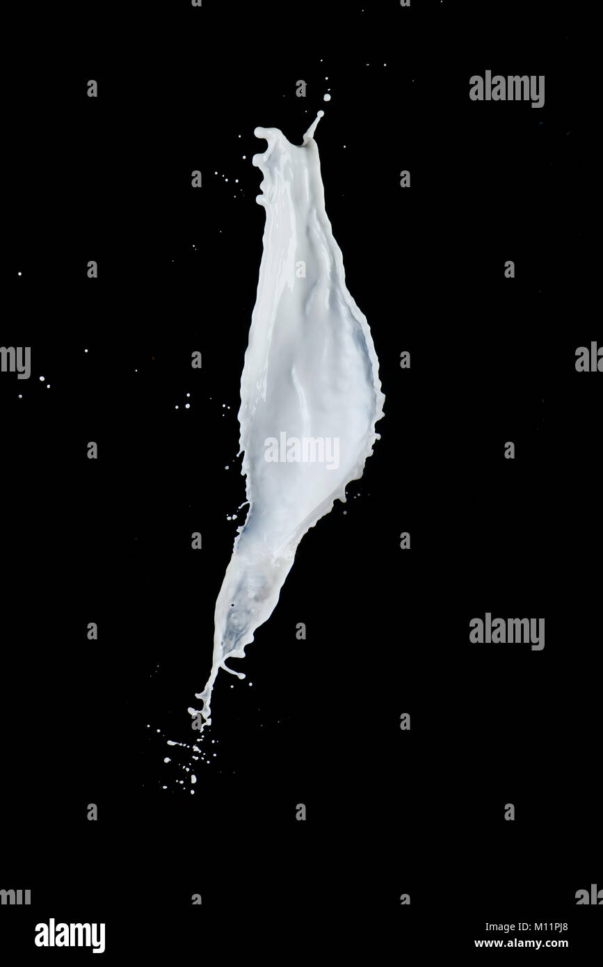 Twisted milk splash isolated on a black background. Liquid high speed ...
