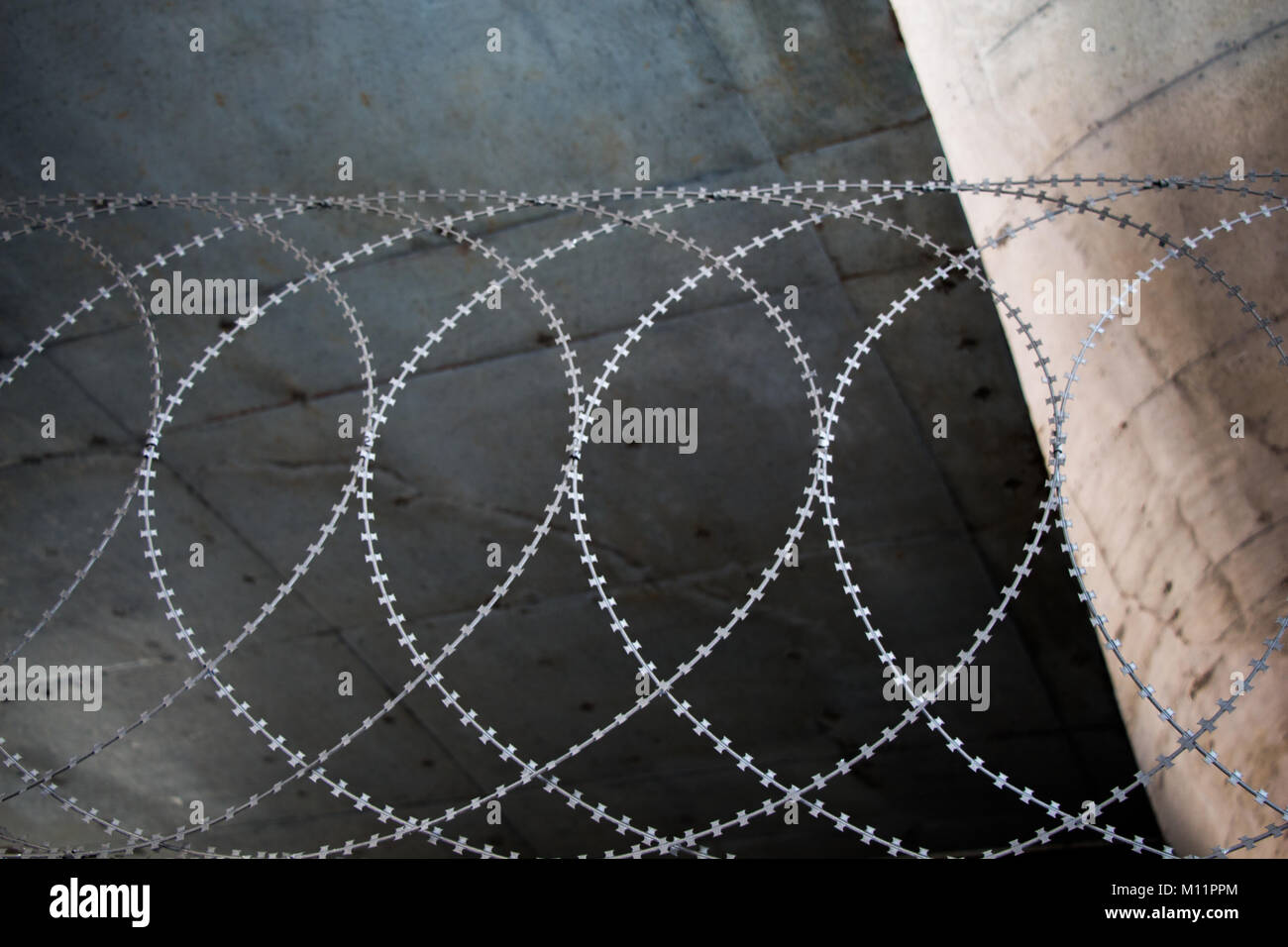 barbed wire fence used for protection purposes Stock Photo - Alamy