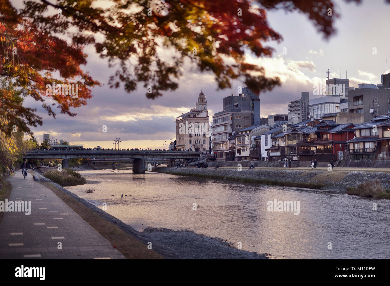 License and prints at MaximImages.com - Shijo bridge over Kamo-gawa ...