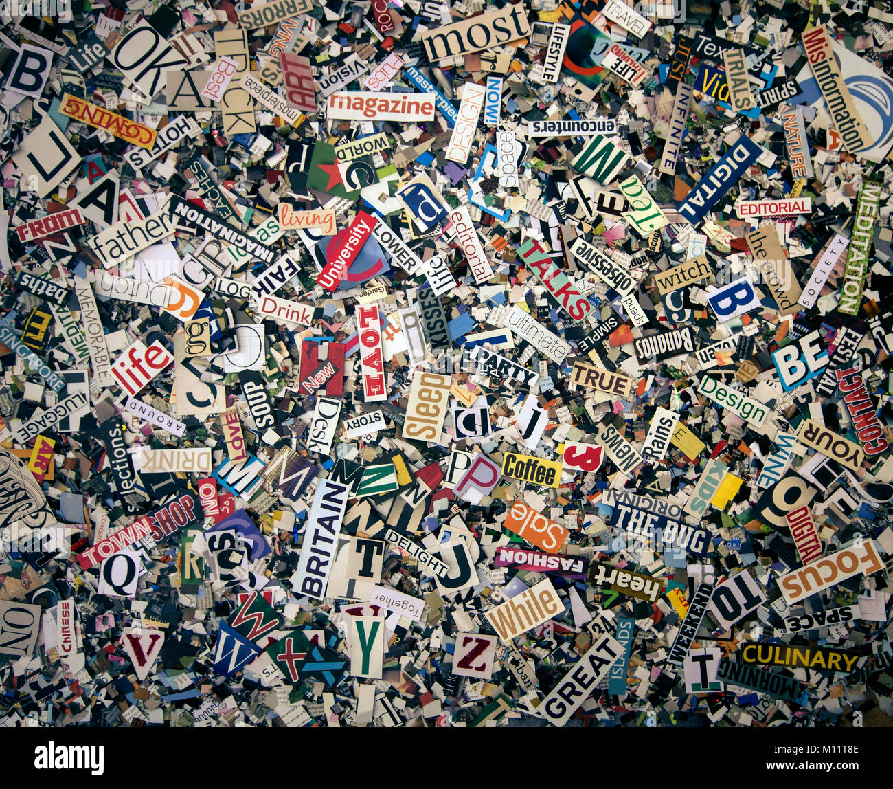 A random selection of word cut out from old magazines with confetti ...