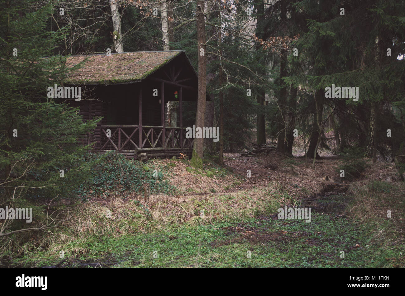 Small hut in the forest Stock Photo - Alamy