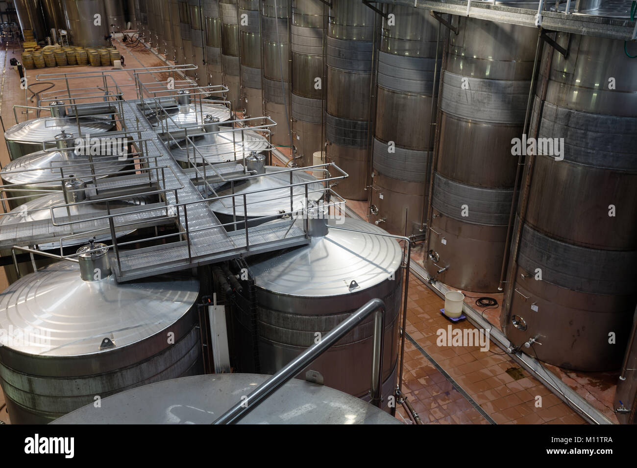Wine Fermentation Vessel