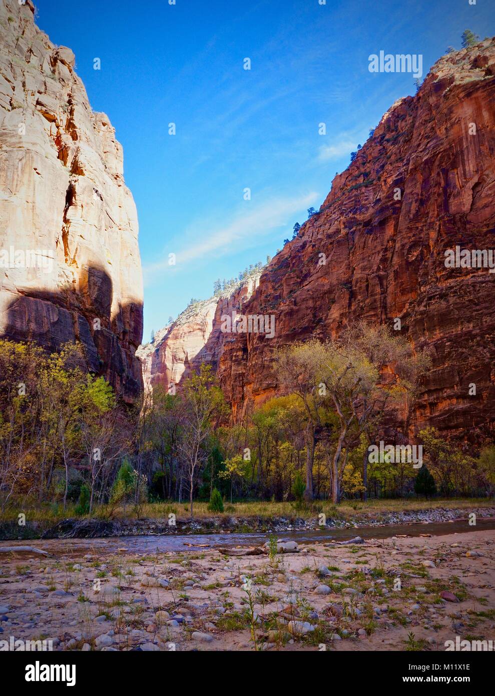 Riverside Walk in Zion Canyon beside the Virgin River Stock Photo - Alamy