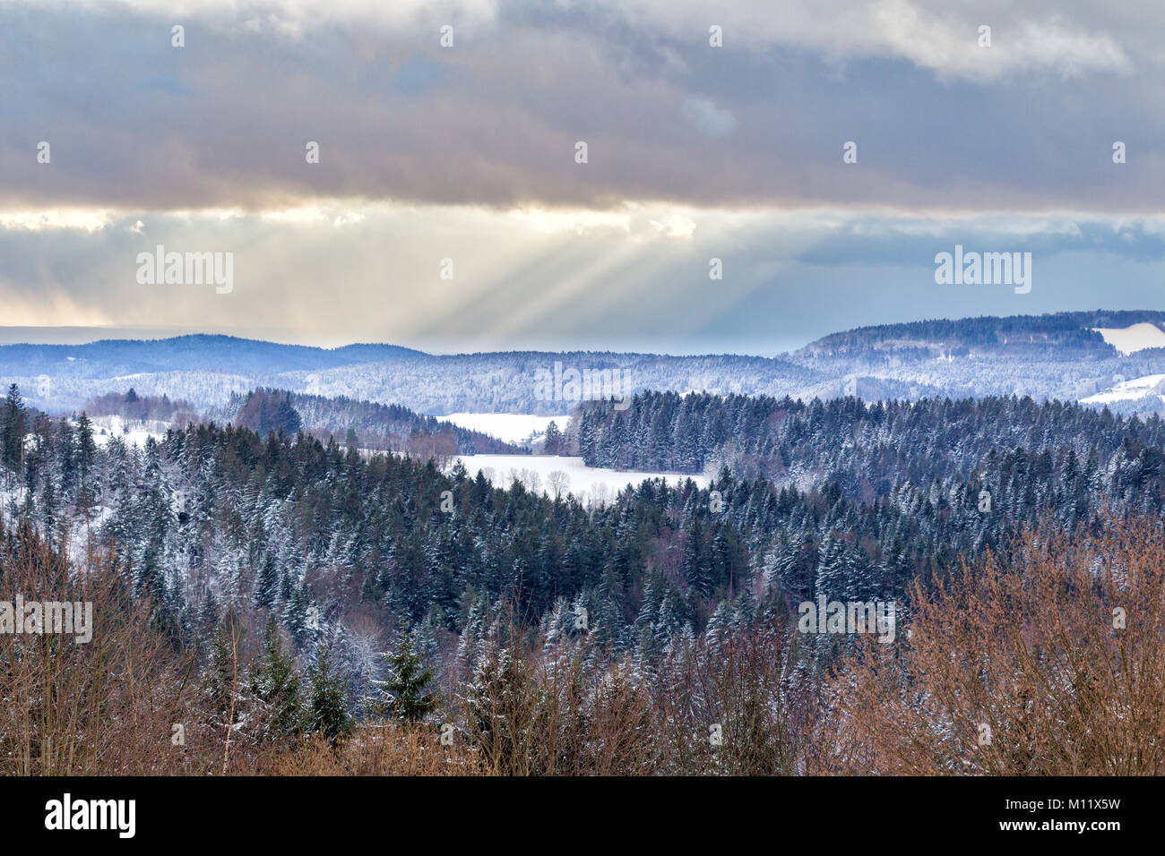 Panorama of the winter landscape in the Bavarian Forest in Bavaria ...