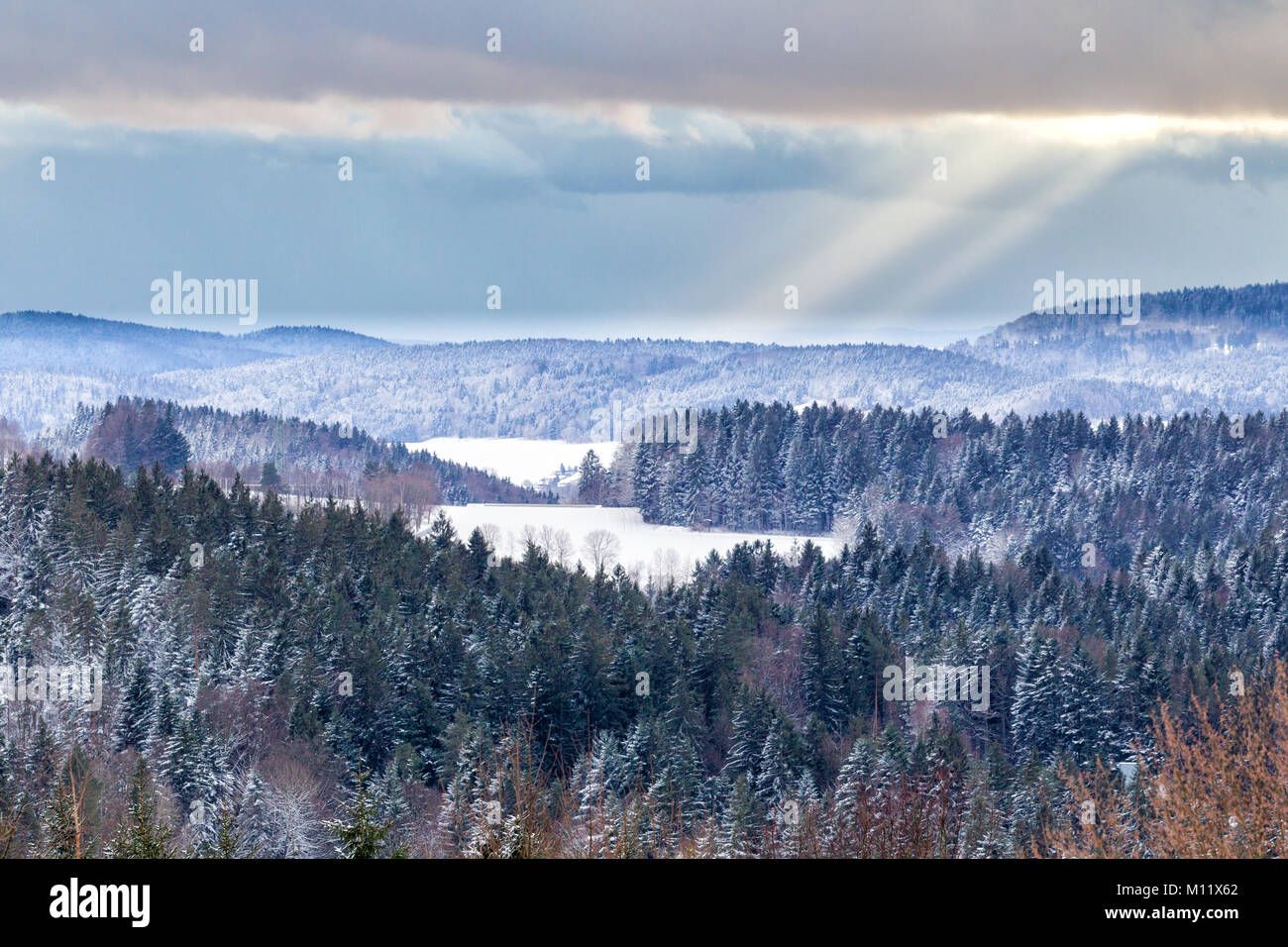 Panorama of the winter landscape in the Bavarian Forest in Bavaria ...
