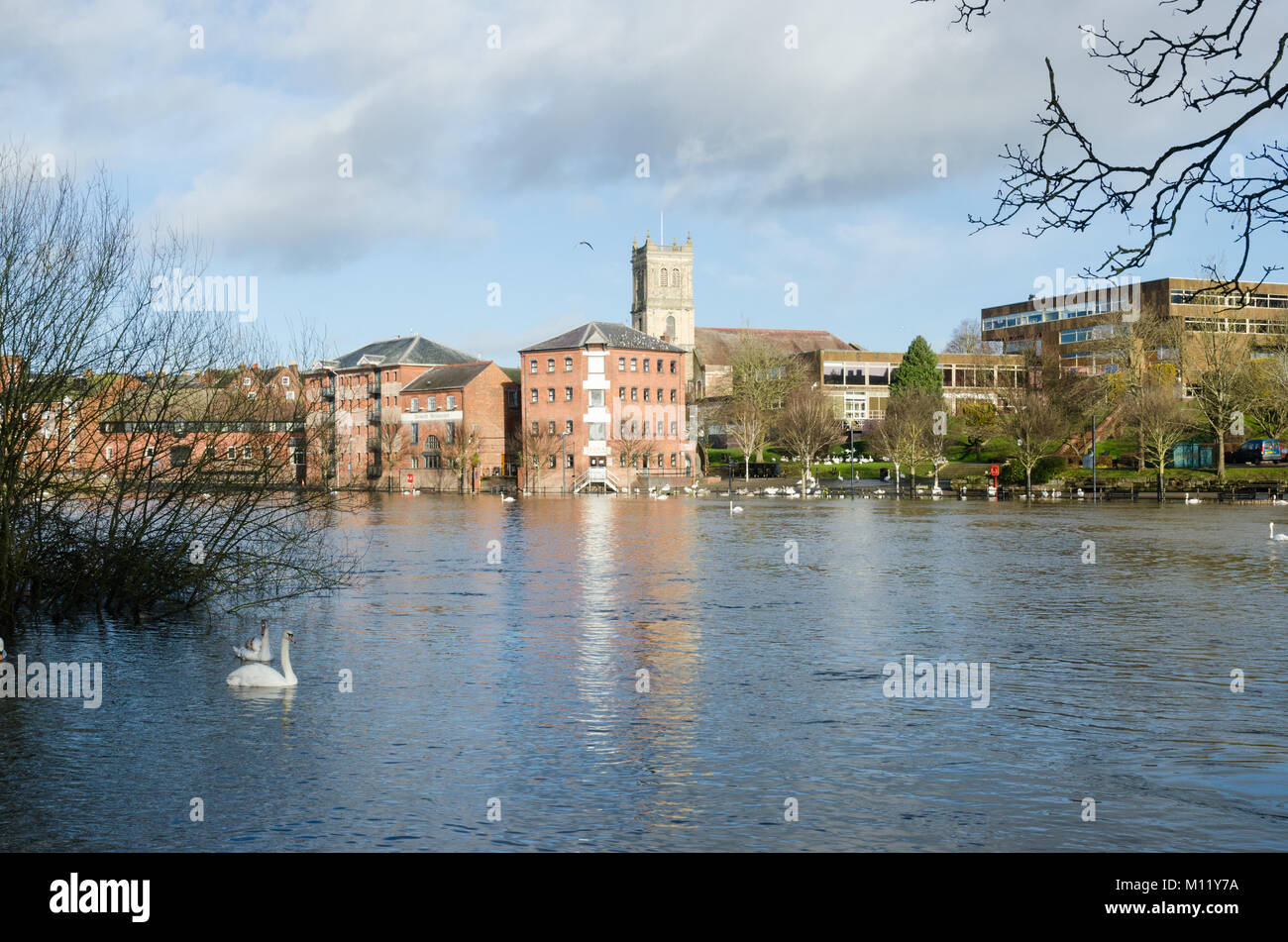 High river levels in Worcester leads to the riverbank of the River ...