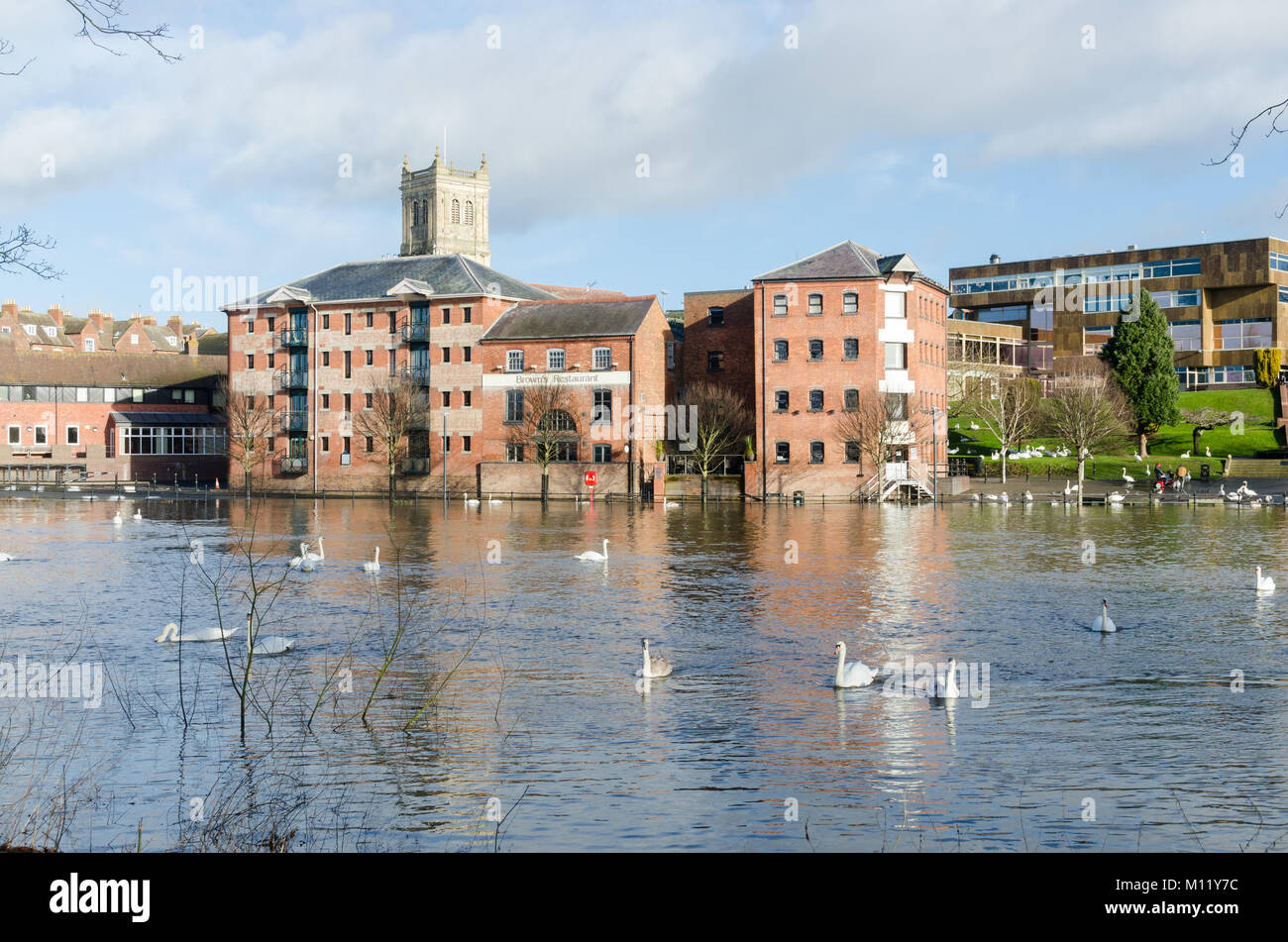 High river levels in Worcester leads to the riverbank of the River ...