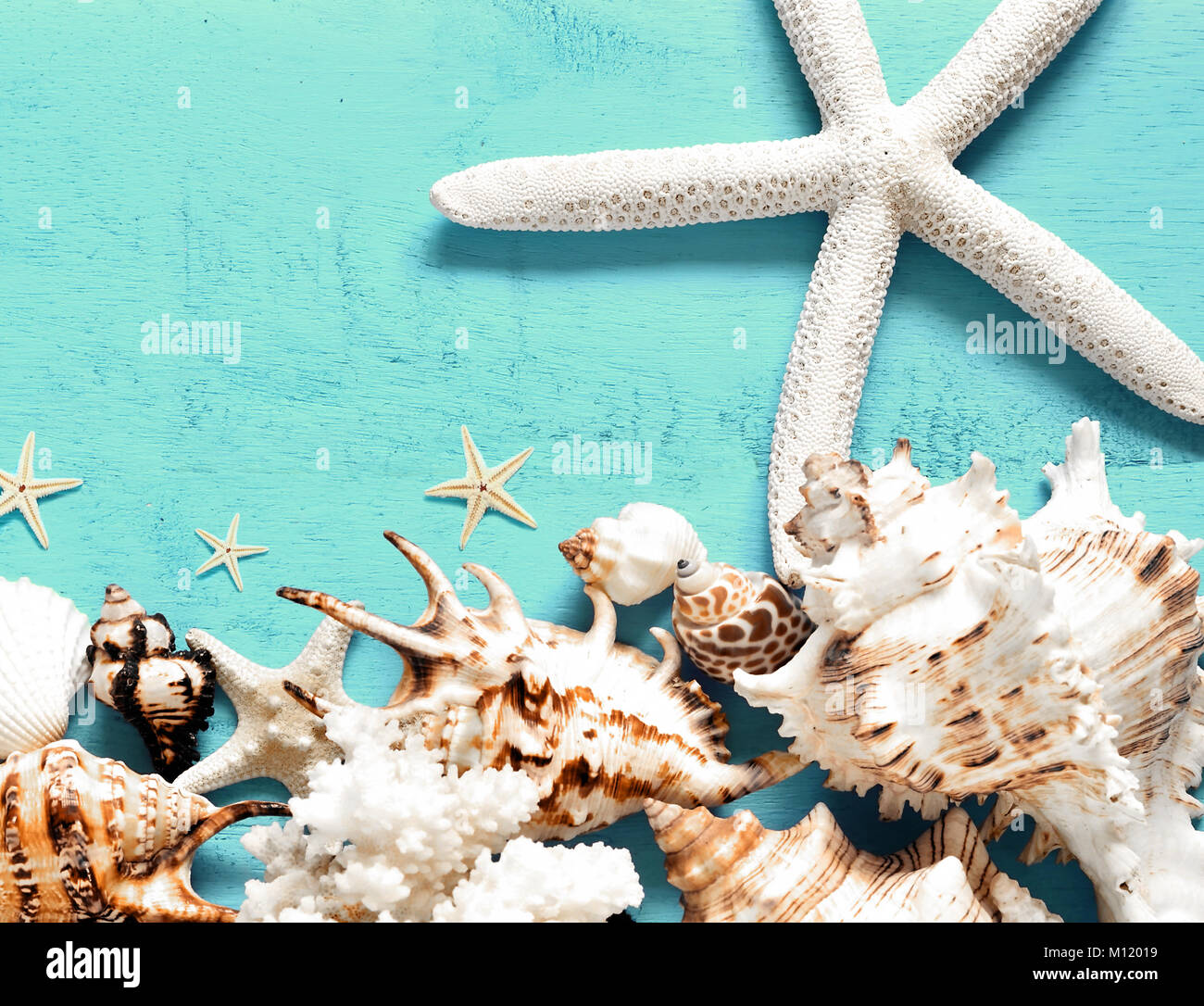 Summer sea background - shells, star on a wooden blue background Stock ...