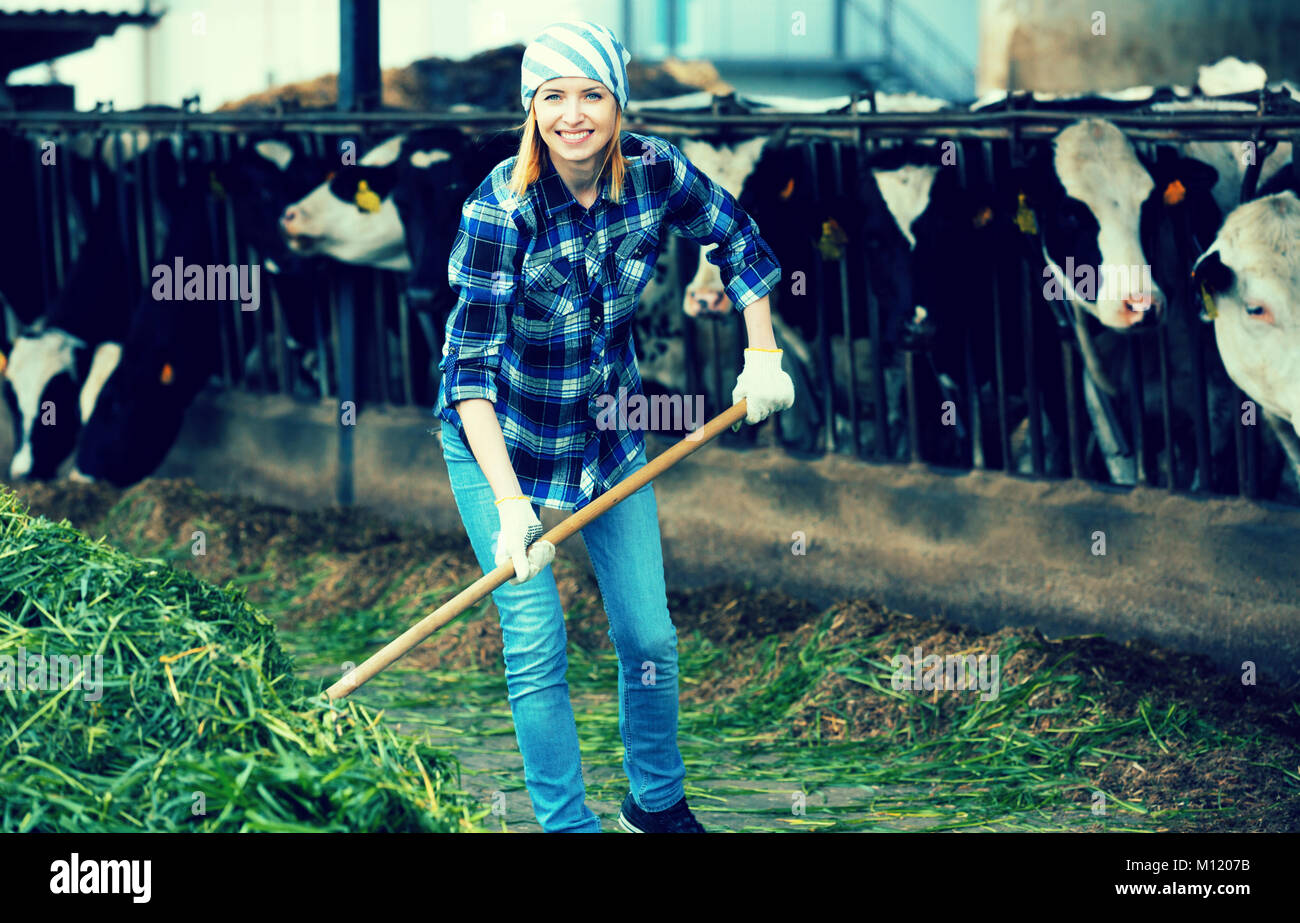 Young cattle-farm worker preparing grass for feeding cows Stock Photo ...