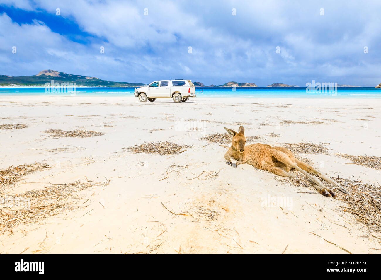 Lucky bay western australia hi-res stock photography and images - Alamy