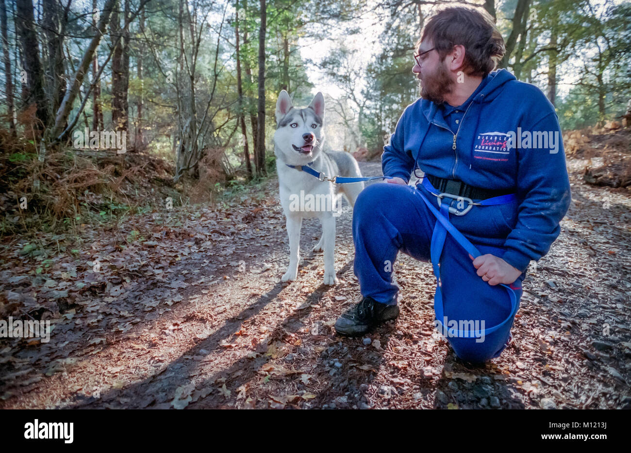 John Mandrake and his husky dogs Stock Photo - Alamy