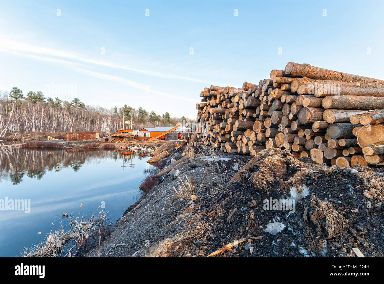 Sawmill logs hi-res stock photography and images - Alamy
