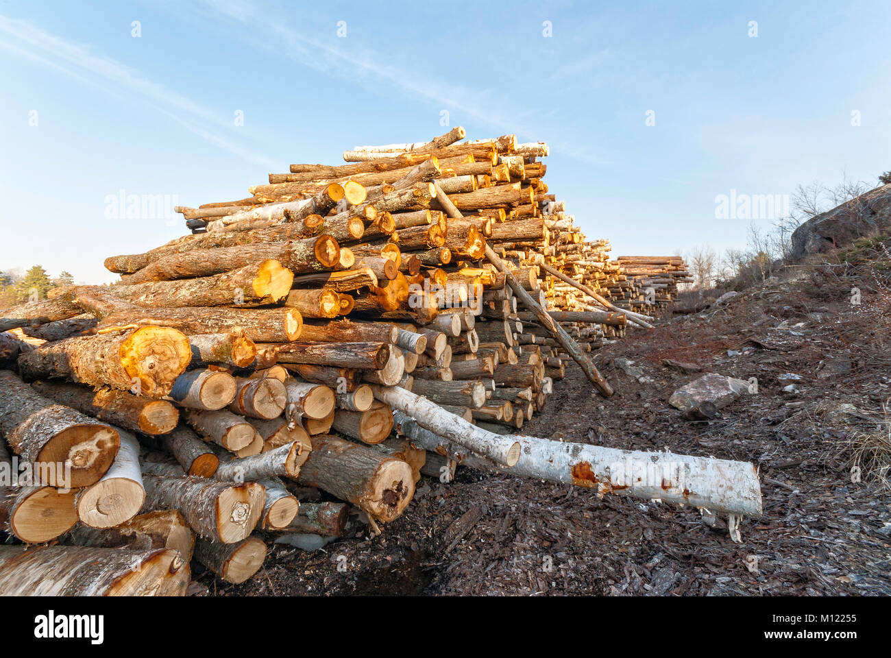 Canadian logging industry hi-res stock photography and images - Alamy