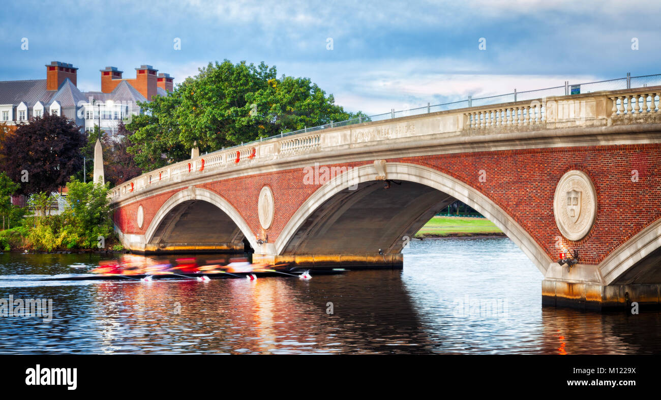 Sculling on charles river harvard hi-res stock photography and images ...