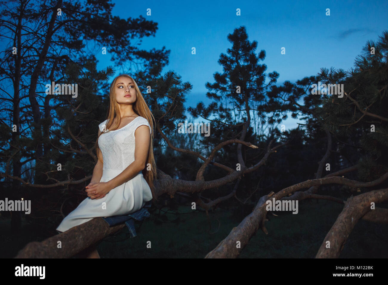 Beautiful Blonde Girl Sitting on Old Tree Branch in Mystical Fairy ...