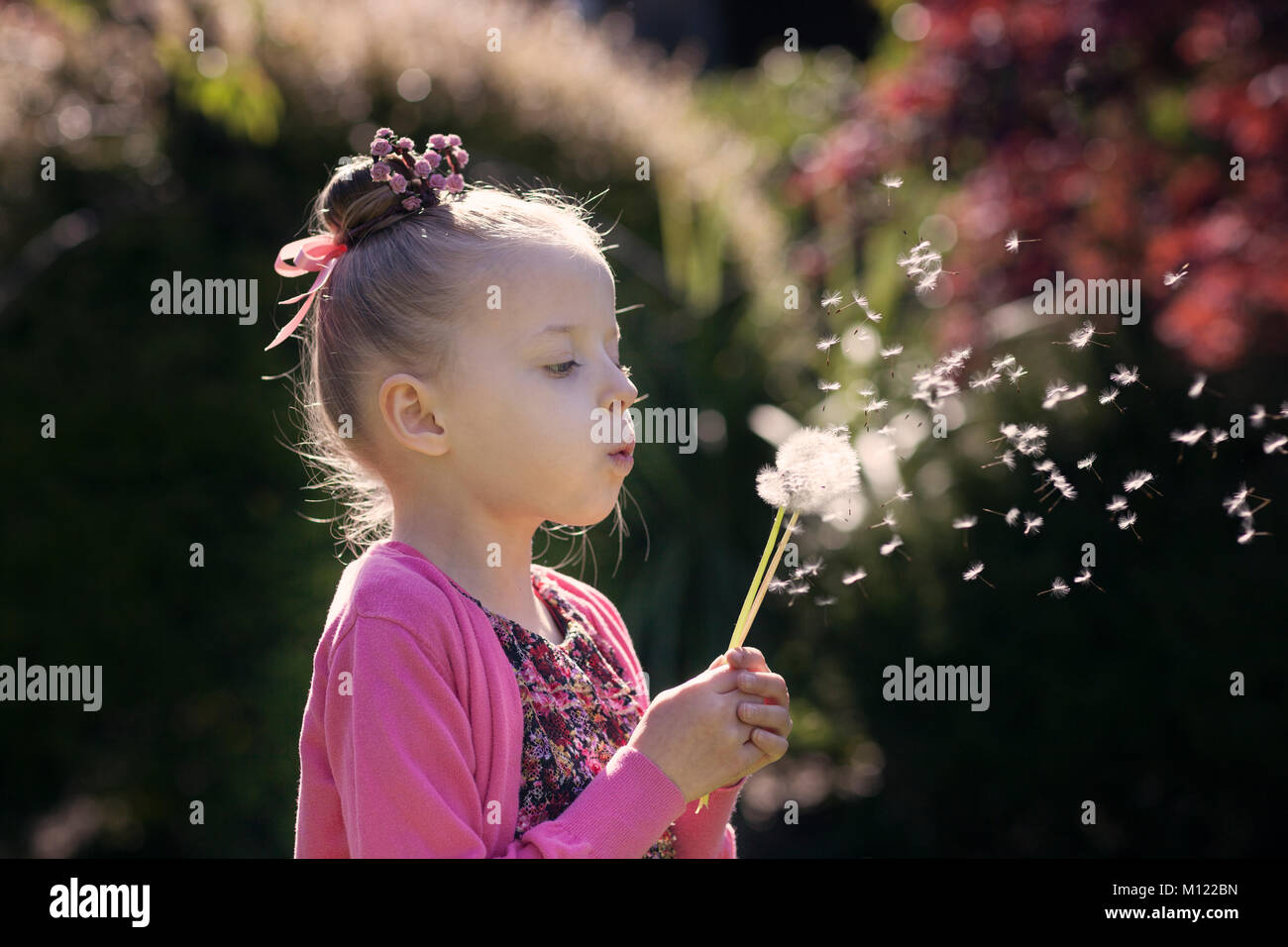 Child blowing dandelion seeds Stock Photo - Alamy