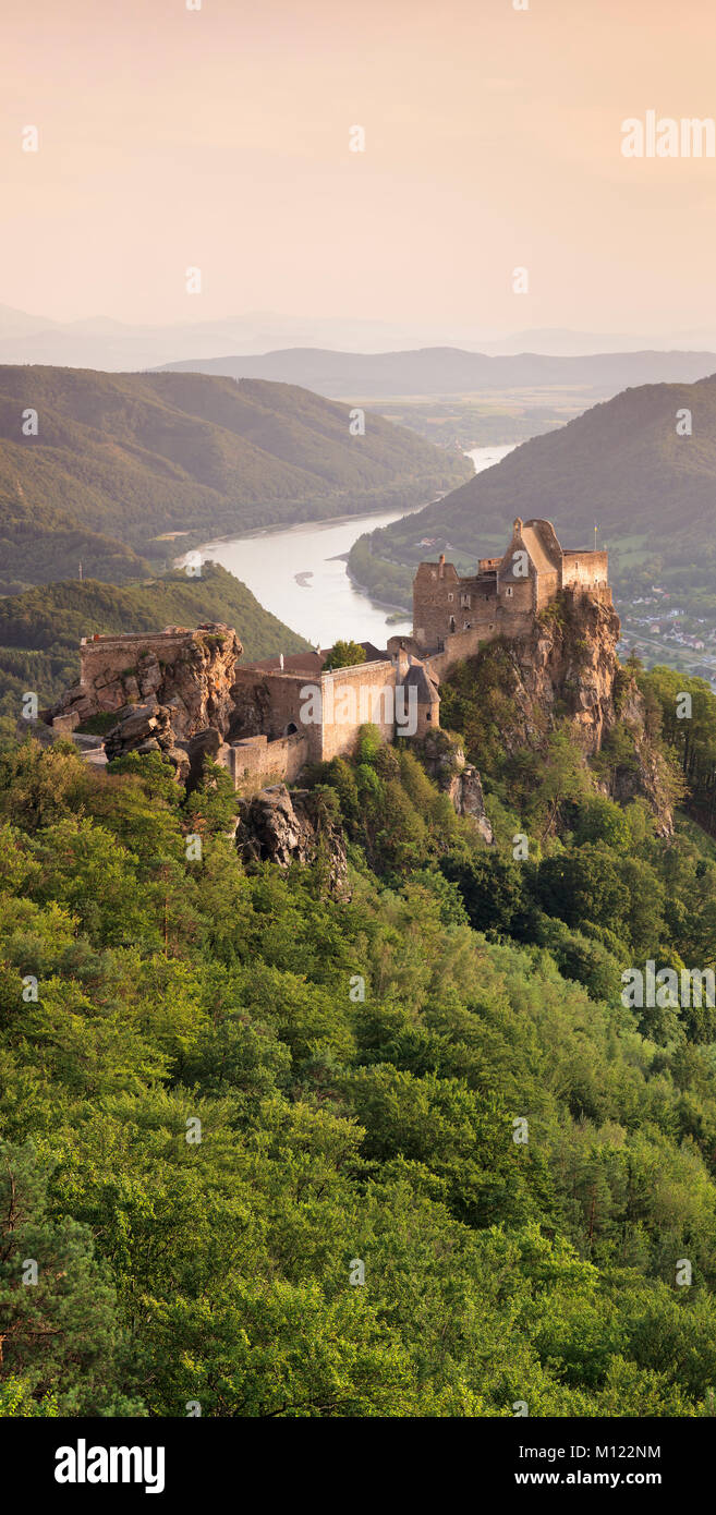 Ruin of Aggstein Castle in the evening light,Schönbühel-Aggstein,Wachau ...
