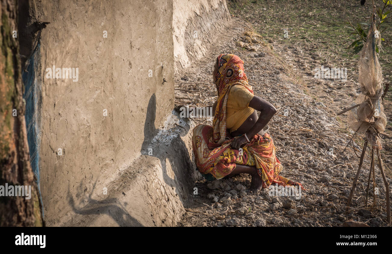 Indian sundarbans hi-res stock photography and images - Alamy