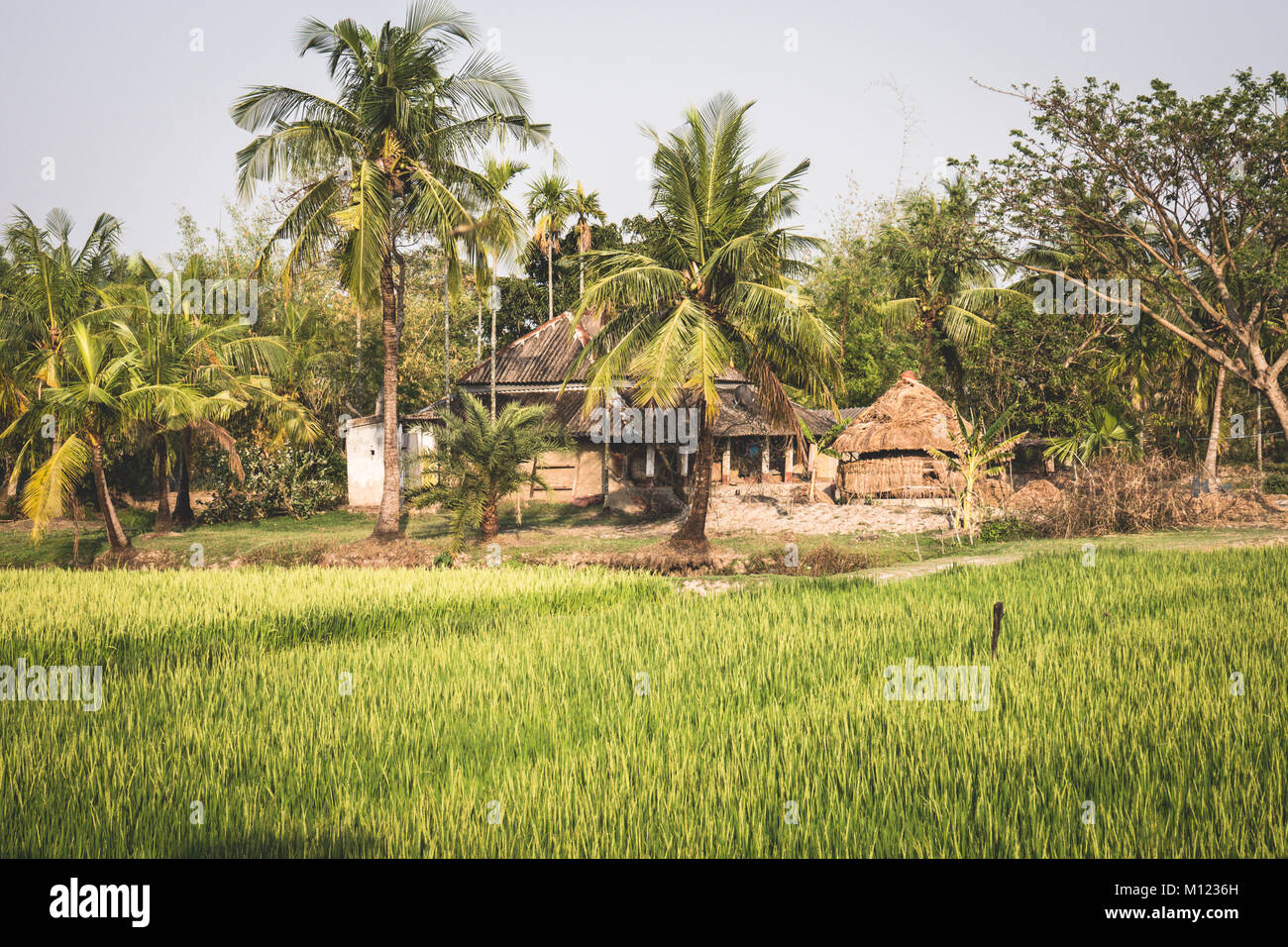 Sunderban National Park High Resolution Stock Photography and Images ...