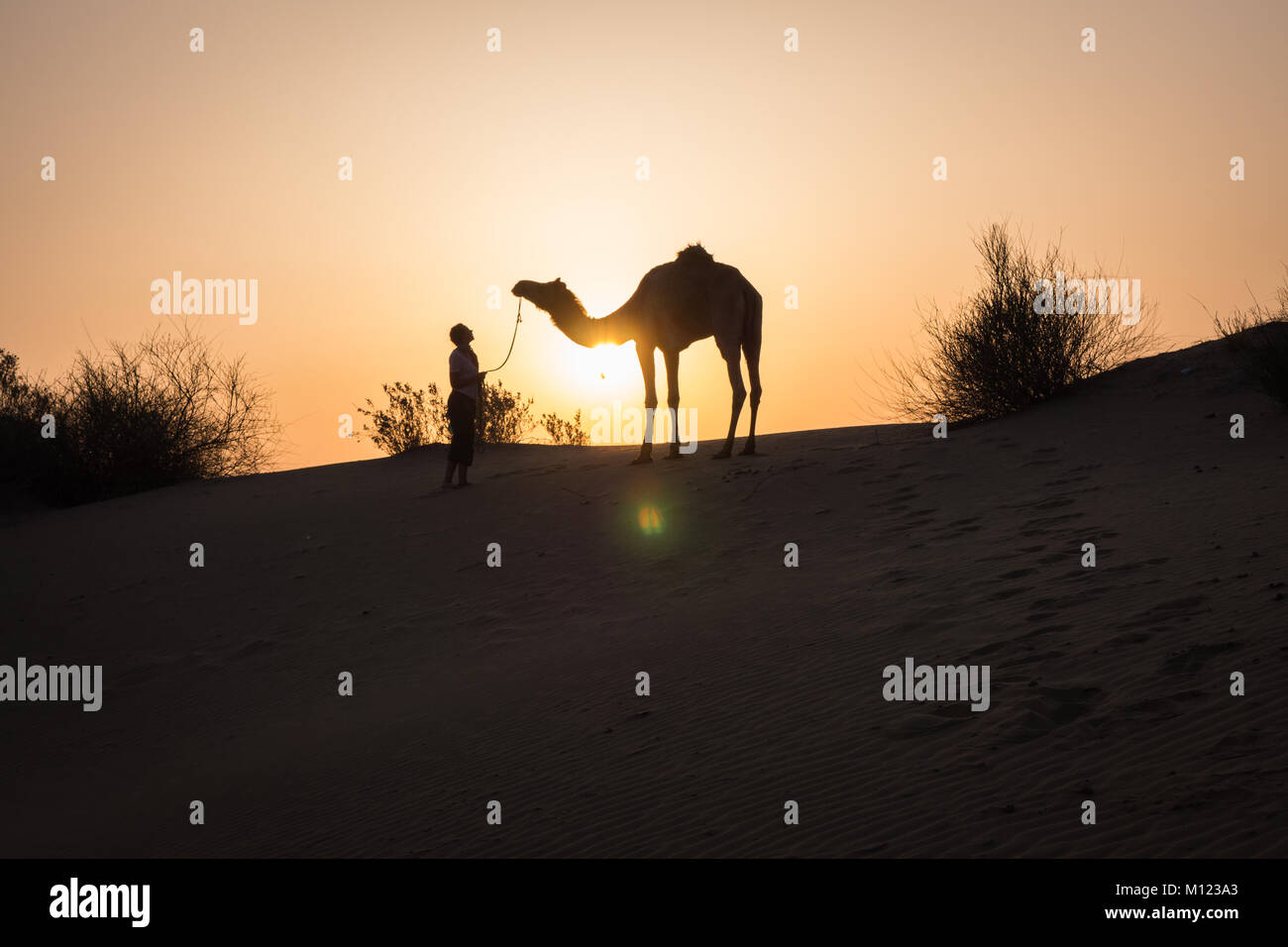 Camel safari rajasthan hi-res stock photography and images - Alamy