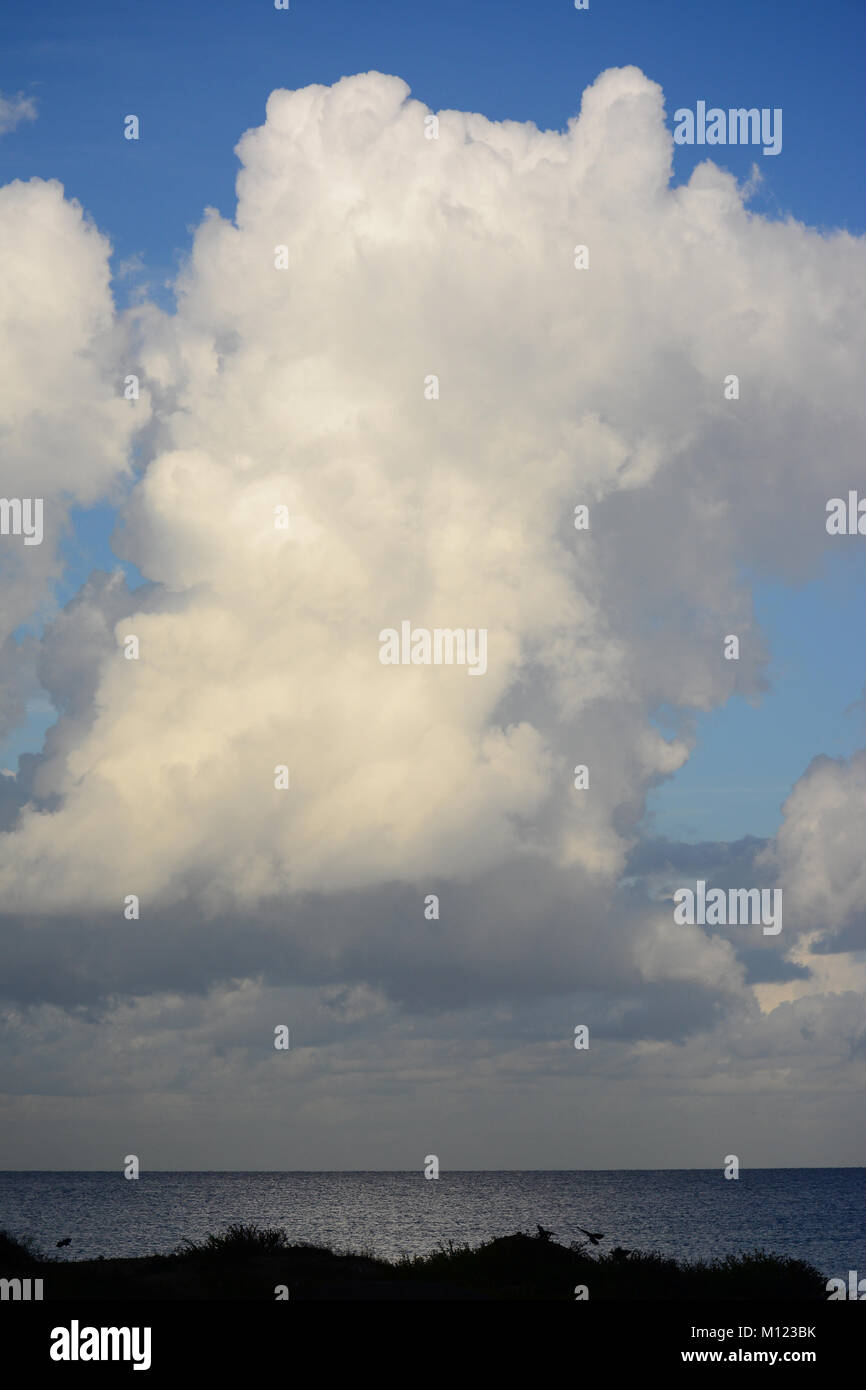 Giant, White cloud Stock Photo - Alamy