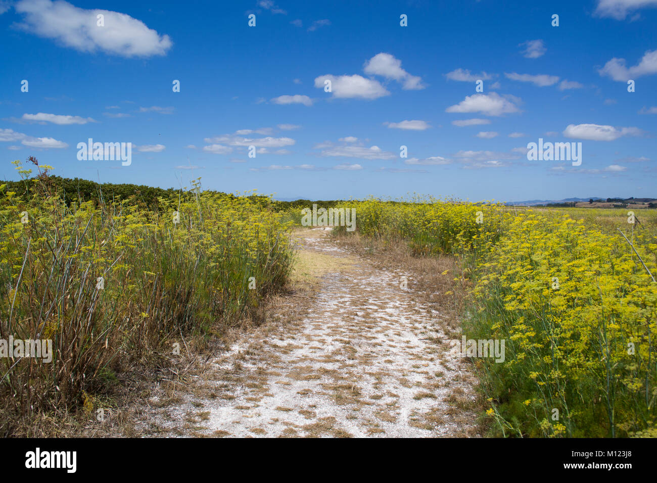 Miranda track hi-res stock photography and images - Alamy