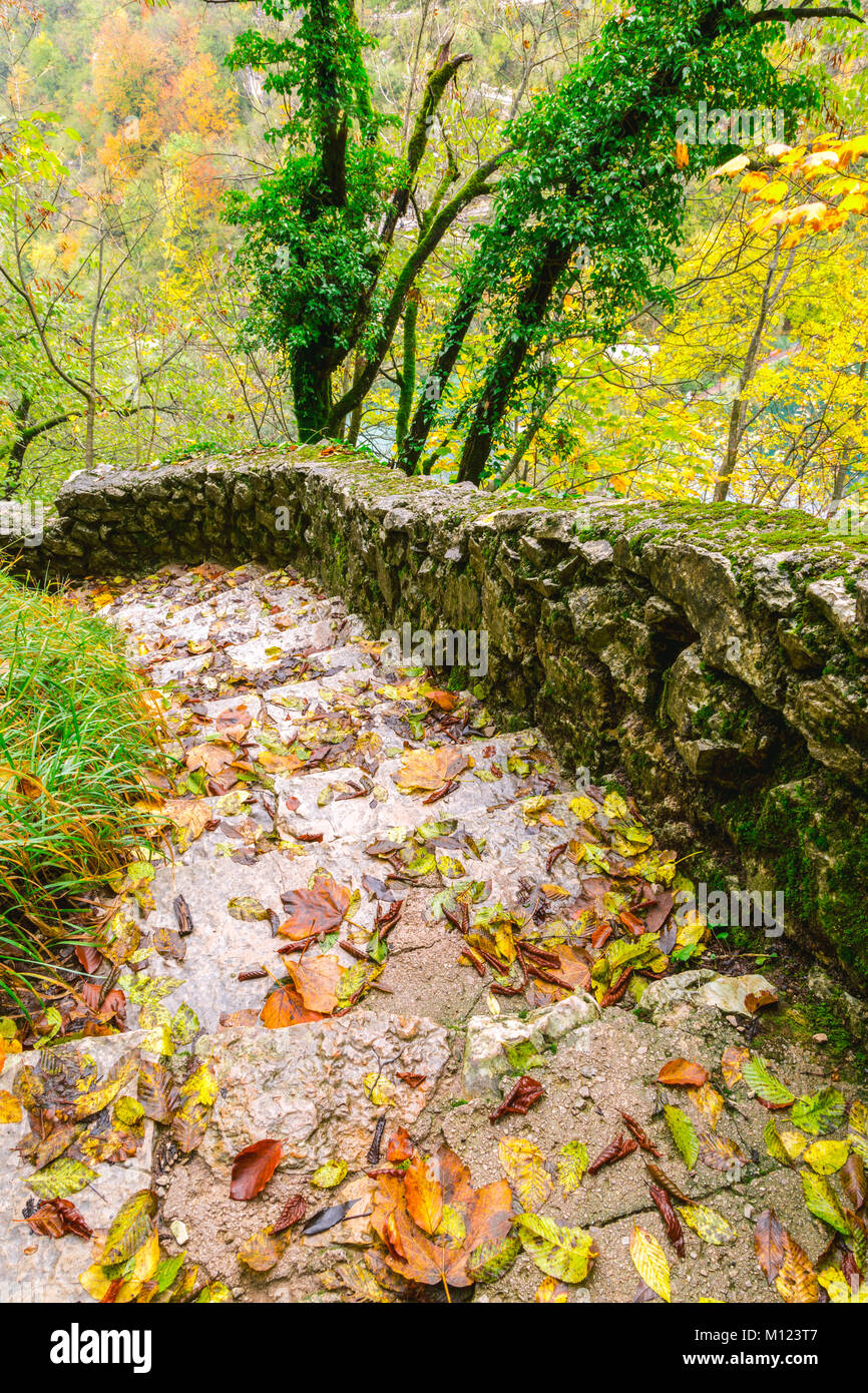 Stone footpath in autumn forest in Plitvice National Park in Croatia ...