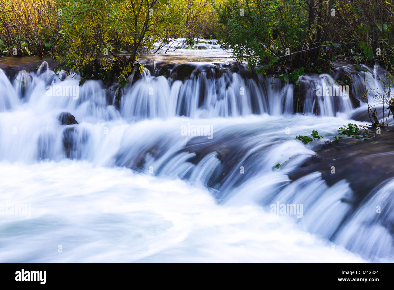 A white running stream in the forest of colorful autumn leaves trees in ...